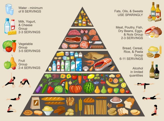Food Pyramid - Ultimate Guide - Viral Rang