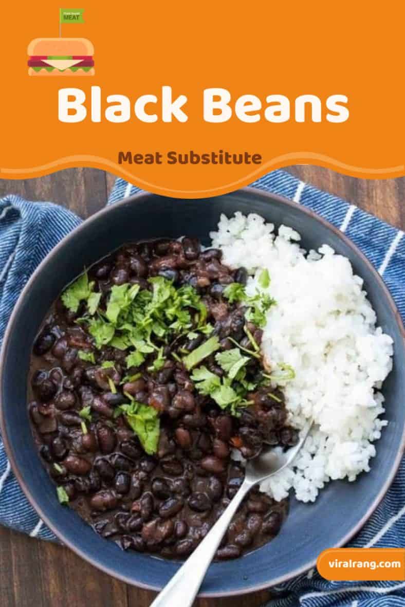 Meat Substitutes - Top Healthy Meat Substitutes That Provide The ...