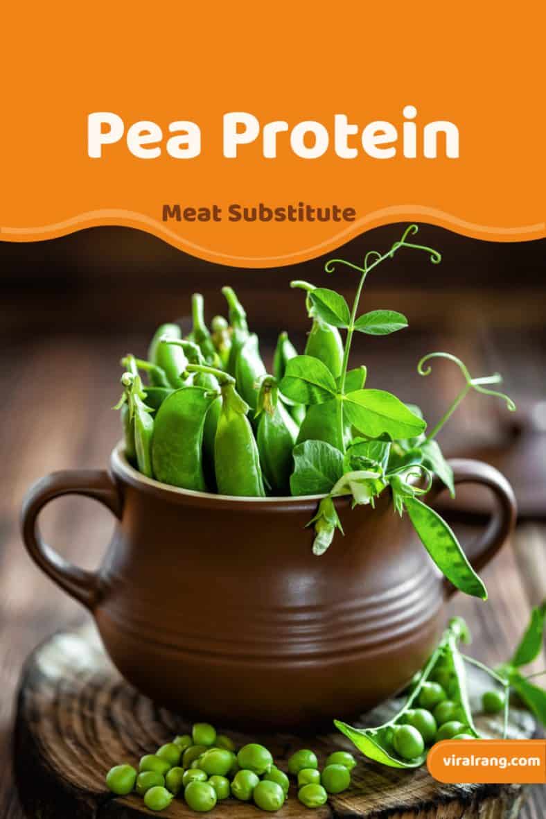 Meat Substitutes - Top Healthy Meat Substitutes That Provide The ...