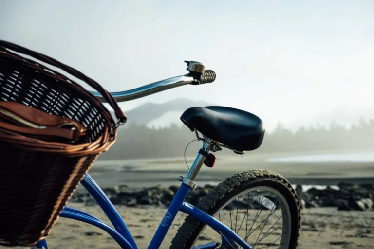 Beginner’s Guide To Riding A Beach Cruiser Bike - Viral Rang